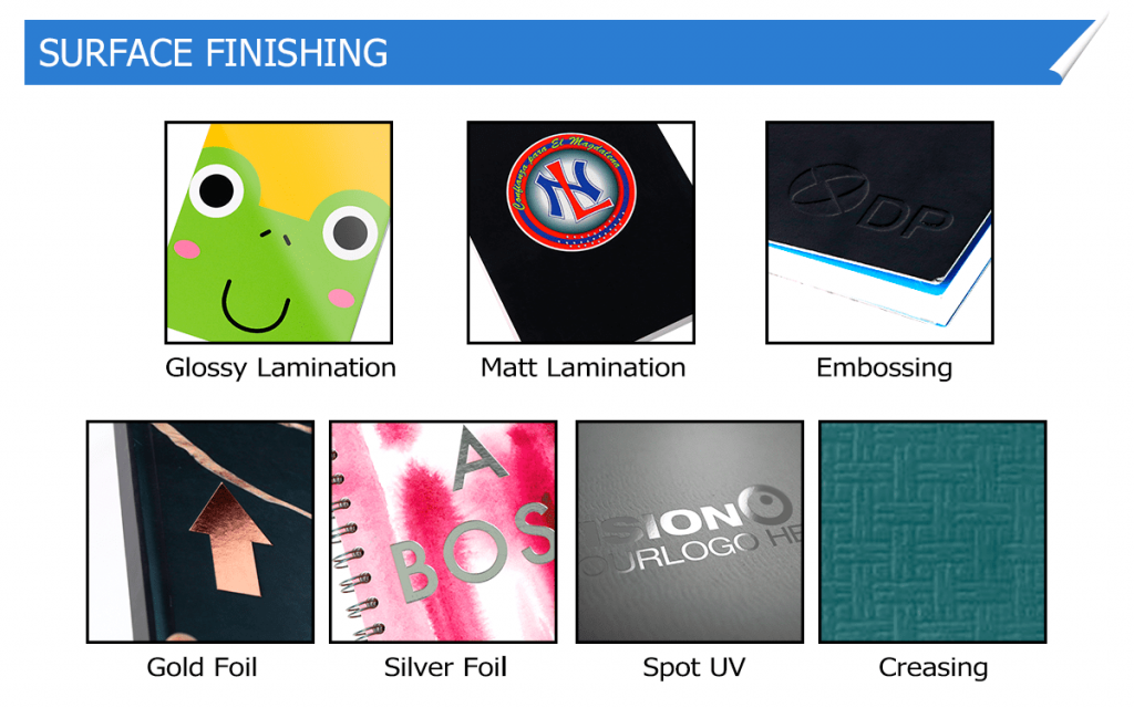 Custom Kids Flash Cards Printing Educational Animal Learning